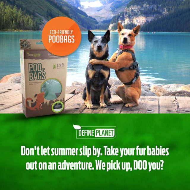 Define Planet – Eco-Friendly Pet Products