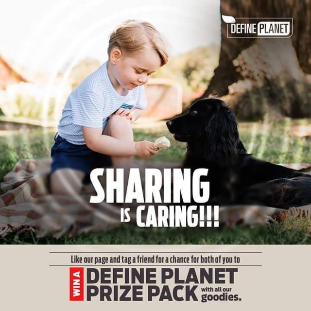 Define Planet – Buy Eco-Friendly pet products for Dogs and Cats
