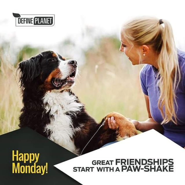 Define Planet – Buy Eco-Friendly pet products for Dogs and Cats