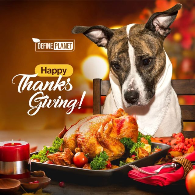 Define Planet – Buy Eco-Friendly pet products for Dogs and Cats