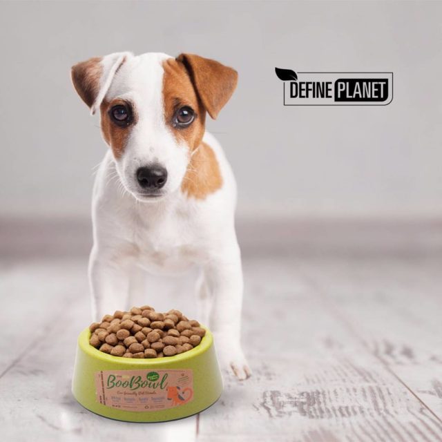 Define Planet – Buy Eco-Friendly pet products for Dogs and Cats
