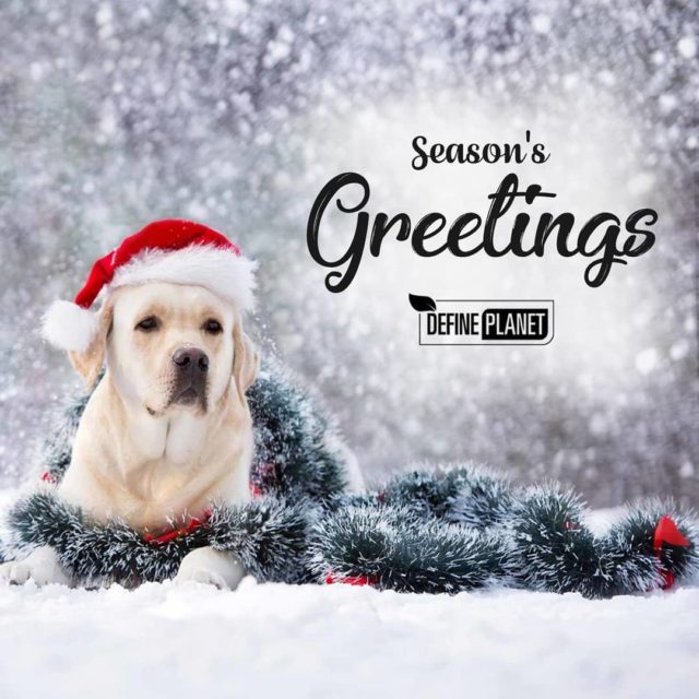 Define Planet – Buy Eco-Friendly pet products for Dogs and Cats