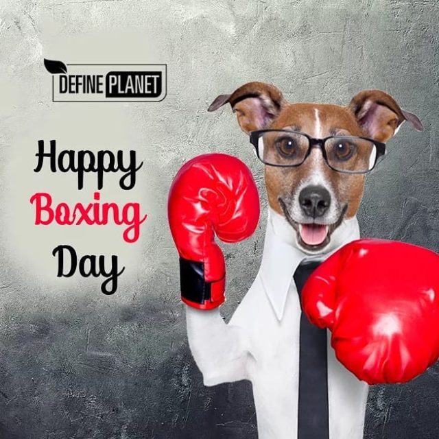 Define Planet – Buy Eco-Friendly pet products for Dogs and Cats